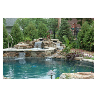 Natural pool - Traditional - Pool - Chicago - by JJ Hayden Inc | Houzz