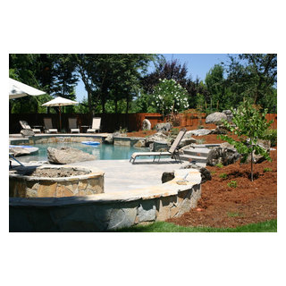 Natural Pool Raised back beam, Beach entry, and Spa - Traditional ...