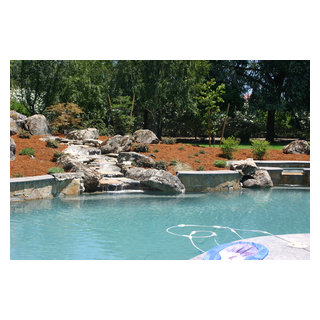 Natural Pool Raised back beam, Beach entry, and Spa - Classique ...
