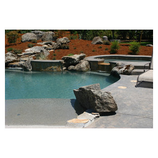 Natural Pool Raised back beam, Beach entry, and Spa - Traditional ...