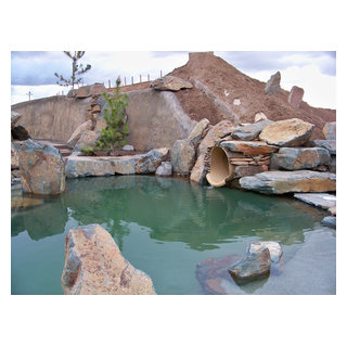 Natural rock boulder pool - Traditional - Pool - Sacramento - by Spring ...