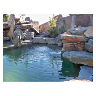 Natural Rock boulder pool - Traditional - Pool - Sacramento - by Spring ...