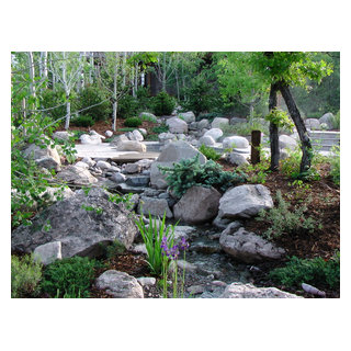 Natural spa and stream water feature - Rustic - Landscape - Tampa - by ...