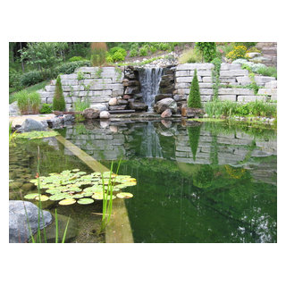 Natural Swimming Pool - Contemporary - Pool - Toronto - by Genus Loci ...