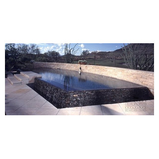 Negative Edge Catch Basins - Contemporary - Pool - Houston - by Richard ...
