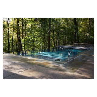 Negative Edge Pool Overlooking Woods - Modern - Pool - DC Metro - by ...