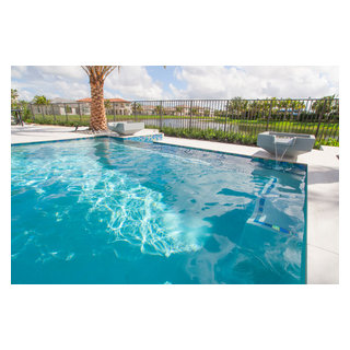 New Infinity Edge Pool With Custom Spa, Sunshelf and Water Bowls in ...