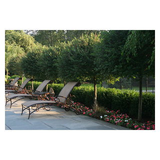 North Oliver - Transitional - Pool - New York - by Oliver Design ...