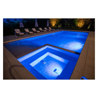 Oak Brook, IL Swimming Pool and Hot Tub Inside Pool - Traditional ...