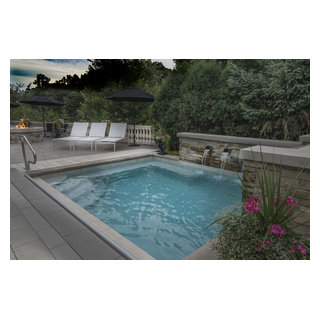 Oakbrook Hydrotherapy Plunge Pool - Pool - Chicago - by Platinum ...