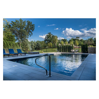 Oakbrook, IL Modern Swimming Pool and Hot Tub with Steppers ...