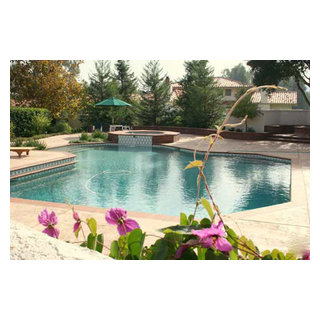 Our Work - Classique - Piscine - Austin - par Quigley Pools and Spas ...