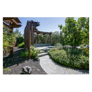 Palmer House - Tropical - Pool - San Francisco - by Apidae Building ...