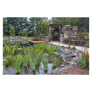 Plant Filter Bog in Natural Swimming Pool - Montagne - Piscine ...