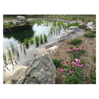 Pond in the Fields - Modern - Pool - Toronto - by Genus Loci Ecological ...