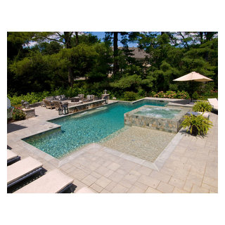 Pool and Spa with 360 degree spa spillover, two sun shelfs, raised ...