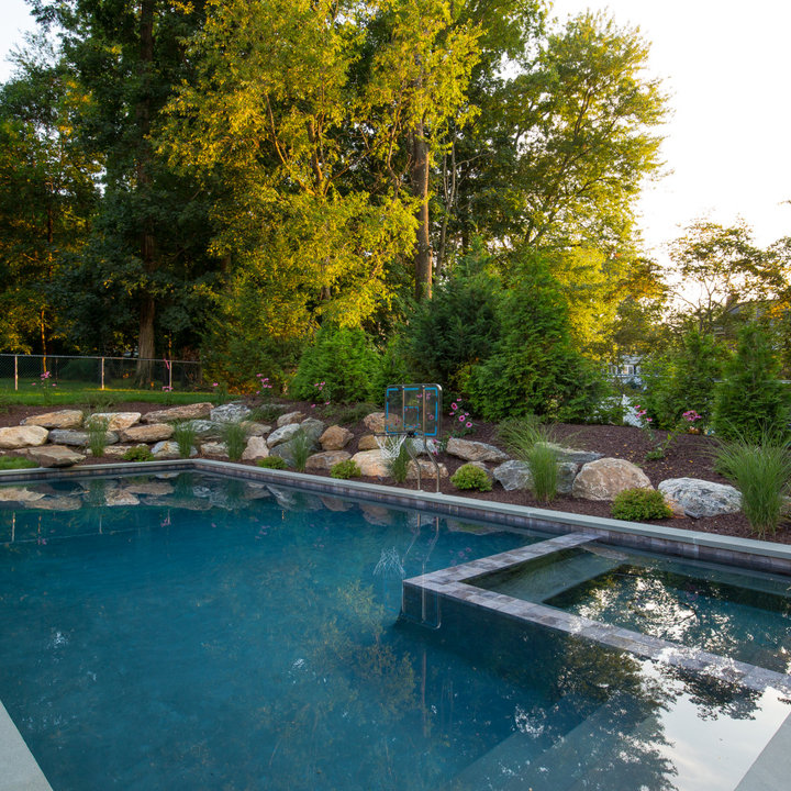 Pools With Diving Boards - Photos & Ideas | Houzz