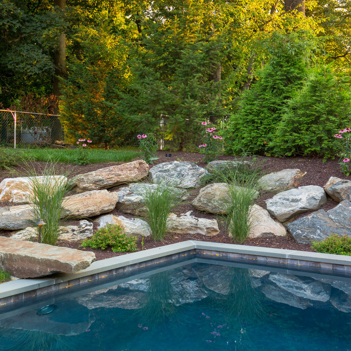 Pools With Diving Boards - Photos & Ideas | Houzz