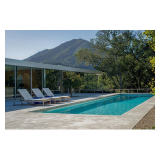 Pool Deck with Mt. Tam - Modern - Pool - San Francisco - by Terra Ferma ...
