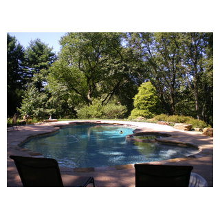 Pool Renovation - Traditional - Pool - Philadelphia - by Eric Leeson ...