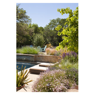 Pool Waterwall - Contemporary - Pool - San Francisco - by Arterra ...