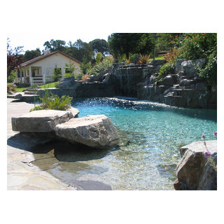 Pools - Rustic - Pool - San Francisco - by Hawkins Pools | Houzz