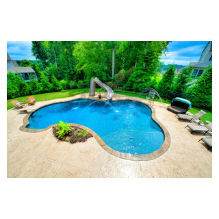 Precision Pool with slide, diving board, tanning ledge & basketball ...