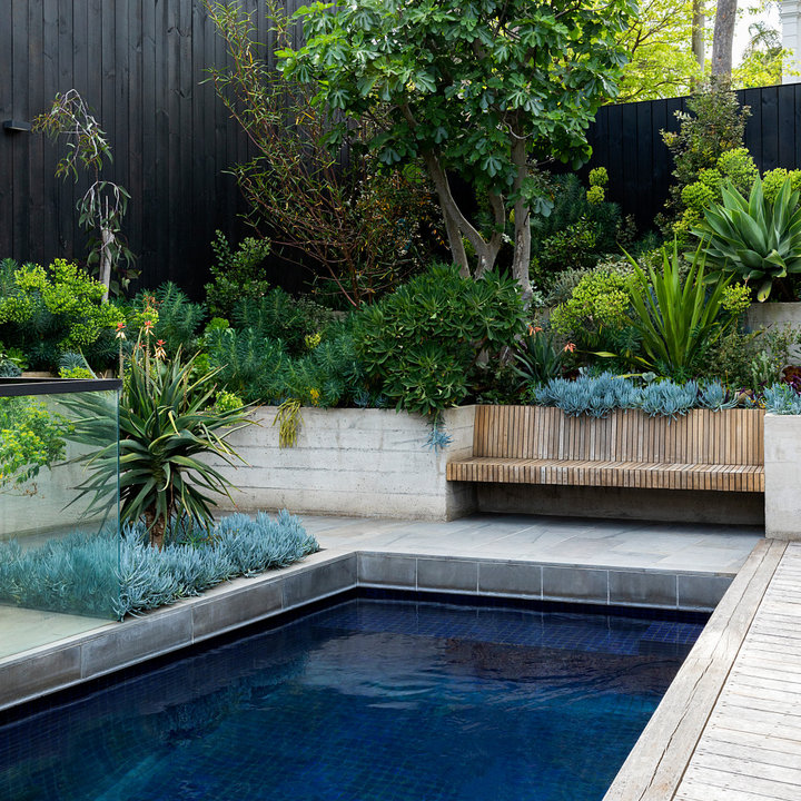 75 Most Popular 75 Beautiful Pool Ideas & Designs Design Ideas for July ...