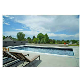 Quartz Finish-SunStone "Black Onyx" - Modern - Pool - Denver - by CL ...