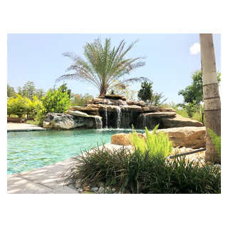 Randal Park, Orlando, FL - Tropical - Pool - Orlando - by Garden Stone ...