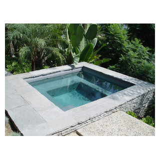RICHARD NEUTRA - Wirin House/Seliger Residence - Midcentury - Pool ...