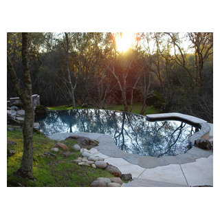 River Pool - Rustic - Pool - Sacramento - by Jim Chandler Pools | Houzz