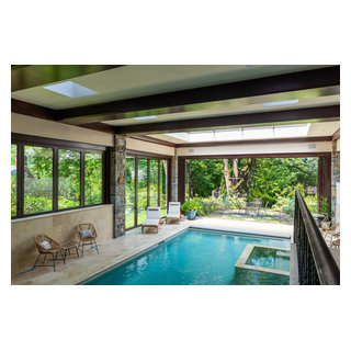 Riverdale Indoor Pool - Traditional - Pool - New York - by Alisberg ...