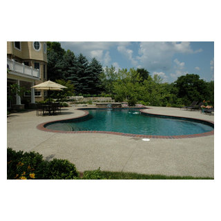 Rochester HIlls Freeform Pool - Traditional - Pool - Detroit - by ...