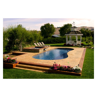 Sample Renaissance Projects - Traditional - Pool - Las Vegas - by ...