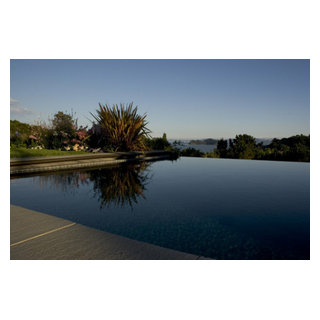 San Rafael Residence - Traditional - Pool - San Francisco - by Pedersen ...