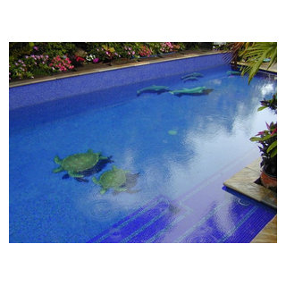 Sea Turtle Pool Tile Design - Pool - Hawaii - by Vogland.com LLC | Houzz