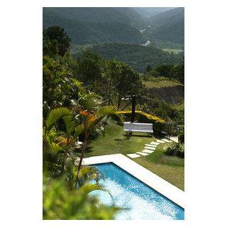SGM Swimming Pool Finishes - Diamond Brite Photos - Tropical - Pool ...
