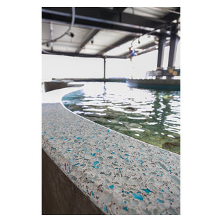 Shark Tank - Tropical - Swimming Pool & Hot Tub - Charleston - by ...