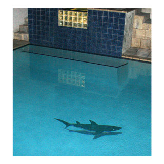 Shark with Shadow - Swimming Pool & Hot Tub - Brisbane - by User | Houzz IE