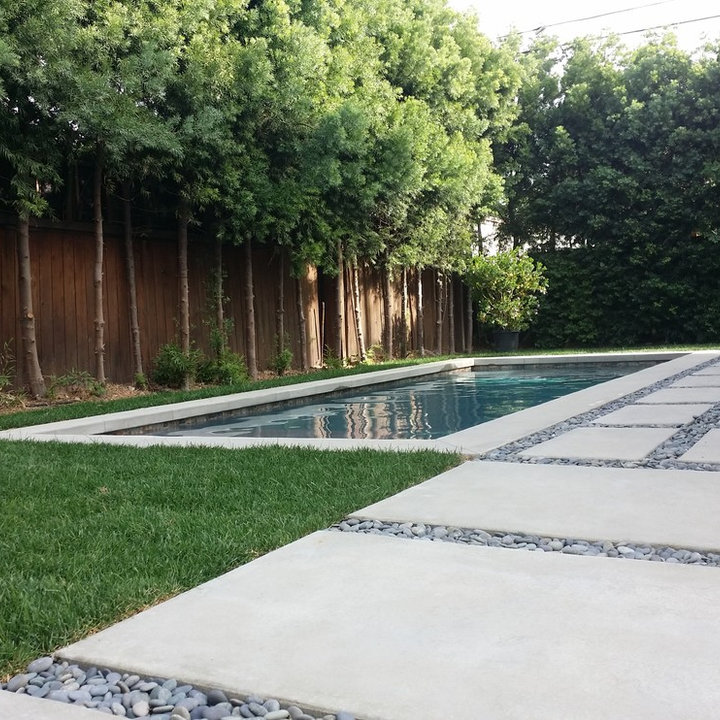 75 Beautiful Small Pool Ideas & Designs - August 2022 | Houzz AU