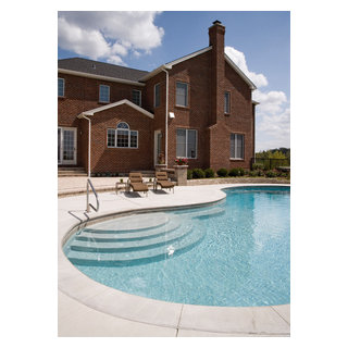 South Barrington Pool and Raised Spa - Traditional - Pool - Chicago ...