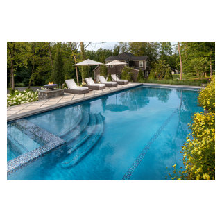 Spectacular outdoor landscaping with all the amenities - Pool - DC ...