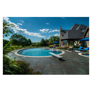 St. Charles Swimming Pool Project - Traditional - Pool - Chicago - by ...