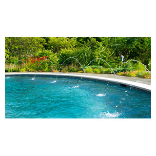 St. Charles Swimming Pool Project - Traditional - Pool - Chicago - by ...