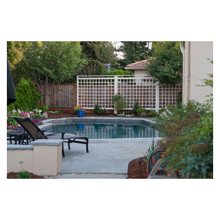Sullivan swimming pool remodel - Traditional - Pool - San Francisco ...