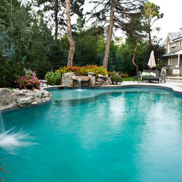 Moss Rock Pool Coping - Photos & Ideas | Houzz