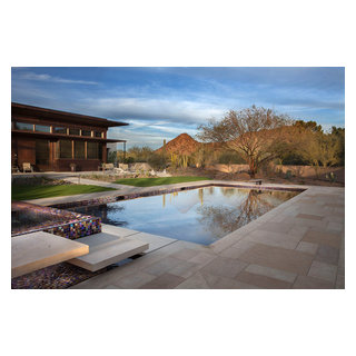 The Color Purple - The Study of Levitation - Contemporary - Pool ...