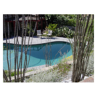 The Peak House - Contemporary - Pool - Phoenix - by The Design ...