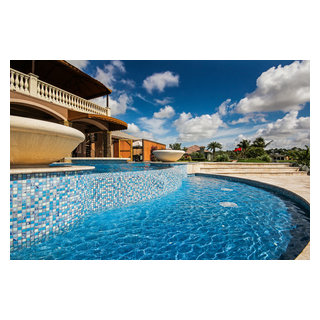 The Vanilla Ice Project Season 4 Pool/Spa Built by Van Kirk & Sons ...